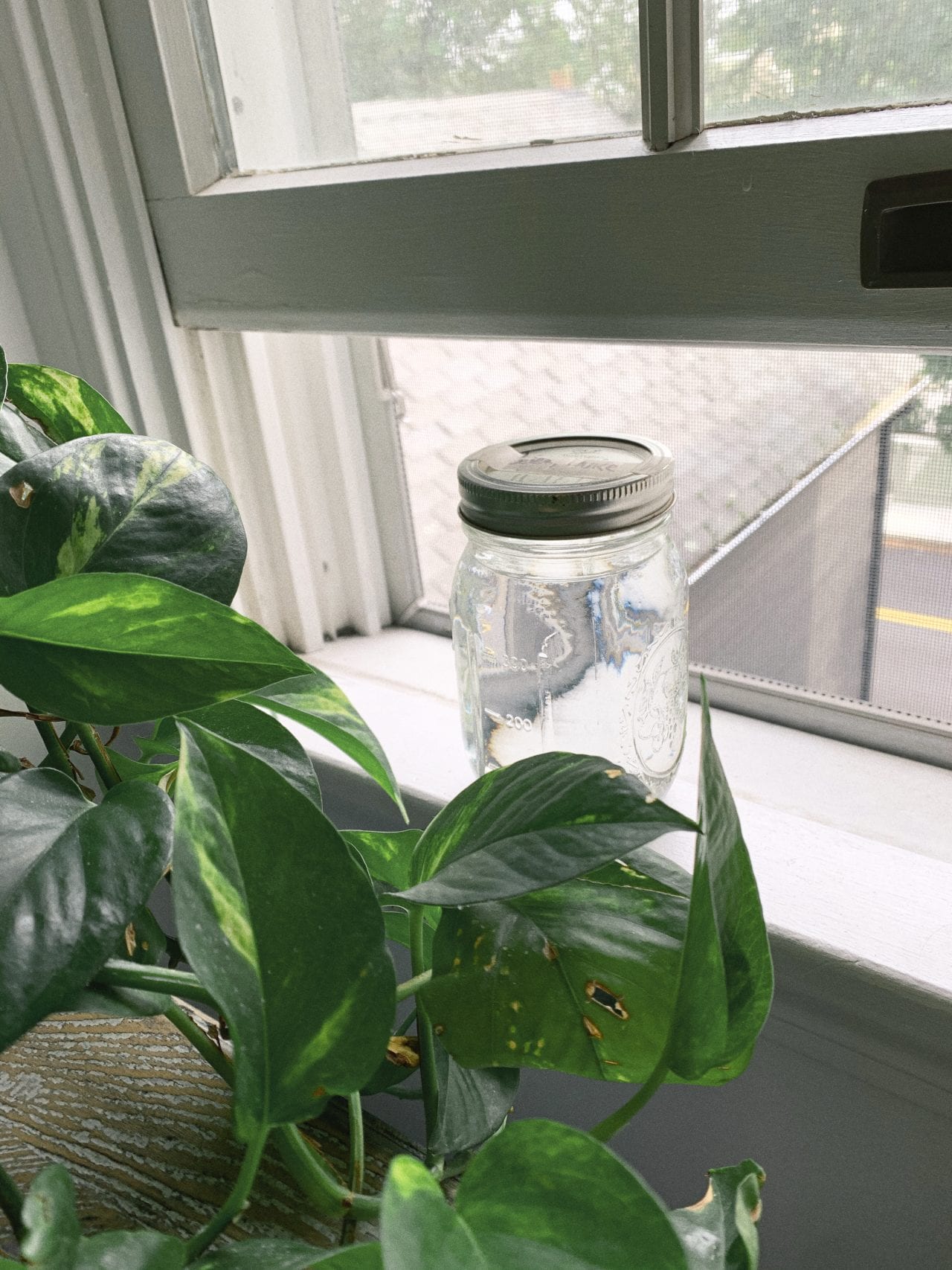What Is Sun Water And How Can I Make It? | Tea & Rosemary