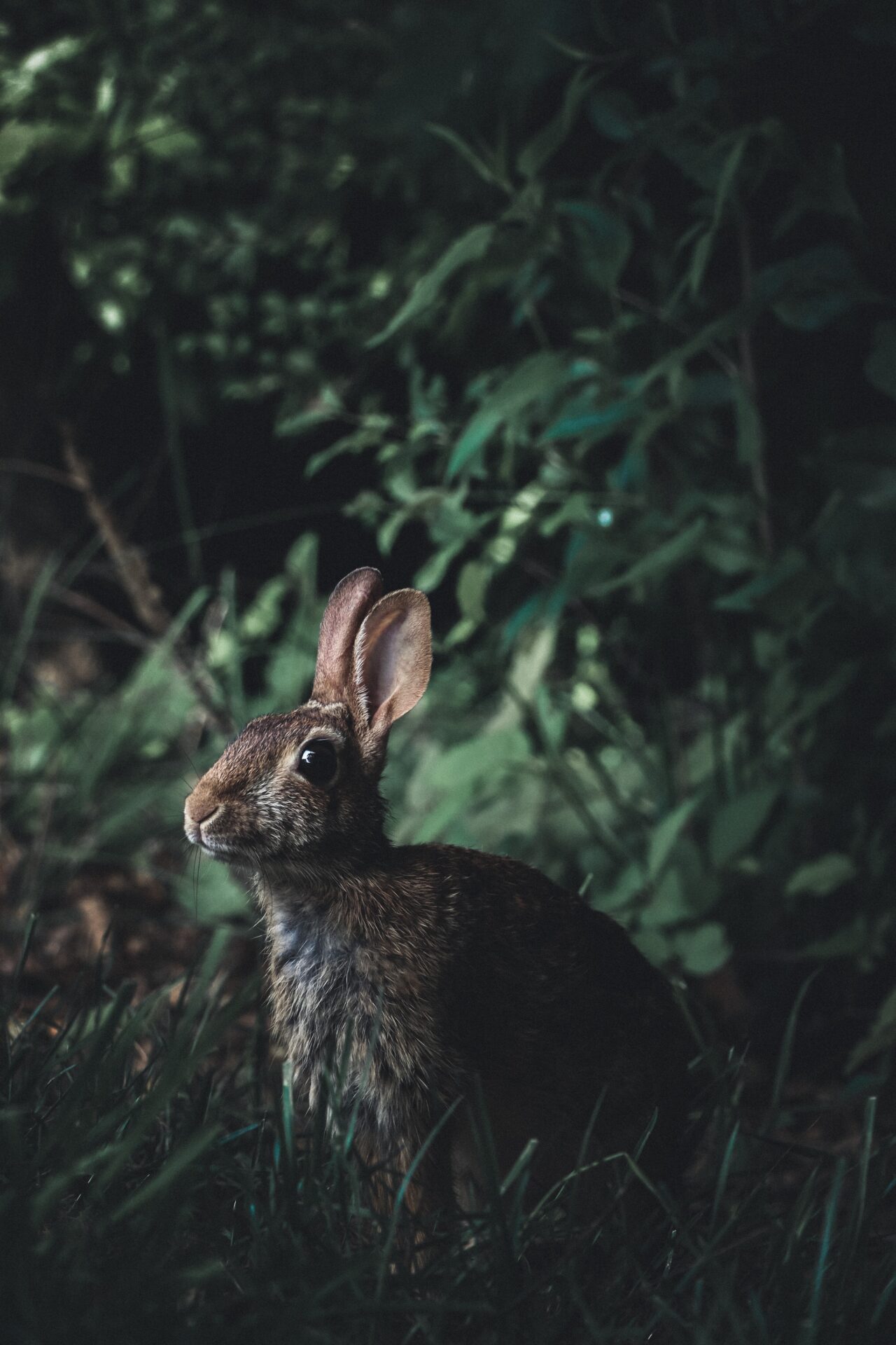 How To Celebrate Ostara: Spring Equinox Rituals, Traditions & Ideas