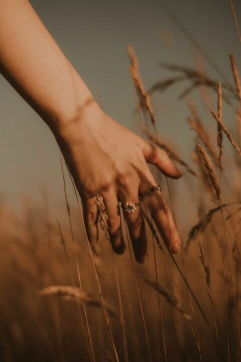Lughnasadh/Lammas: Traditions, Rituals, & How To Celebrate