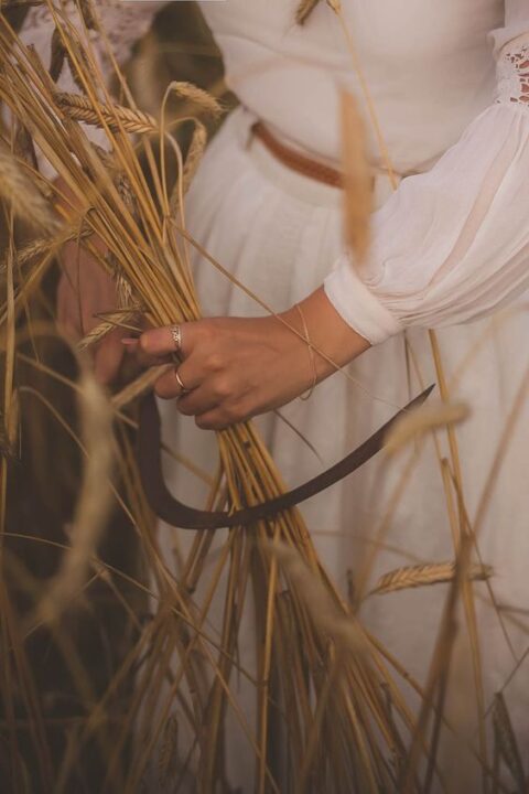 Lughnasadh/Lammas: Traditions, Rituals, & How To Celebrate