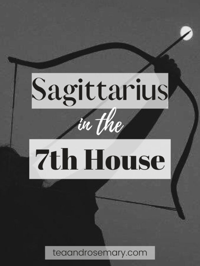 Sagittarius In The 7th House Explained | Tea & Rosemary